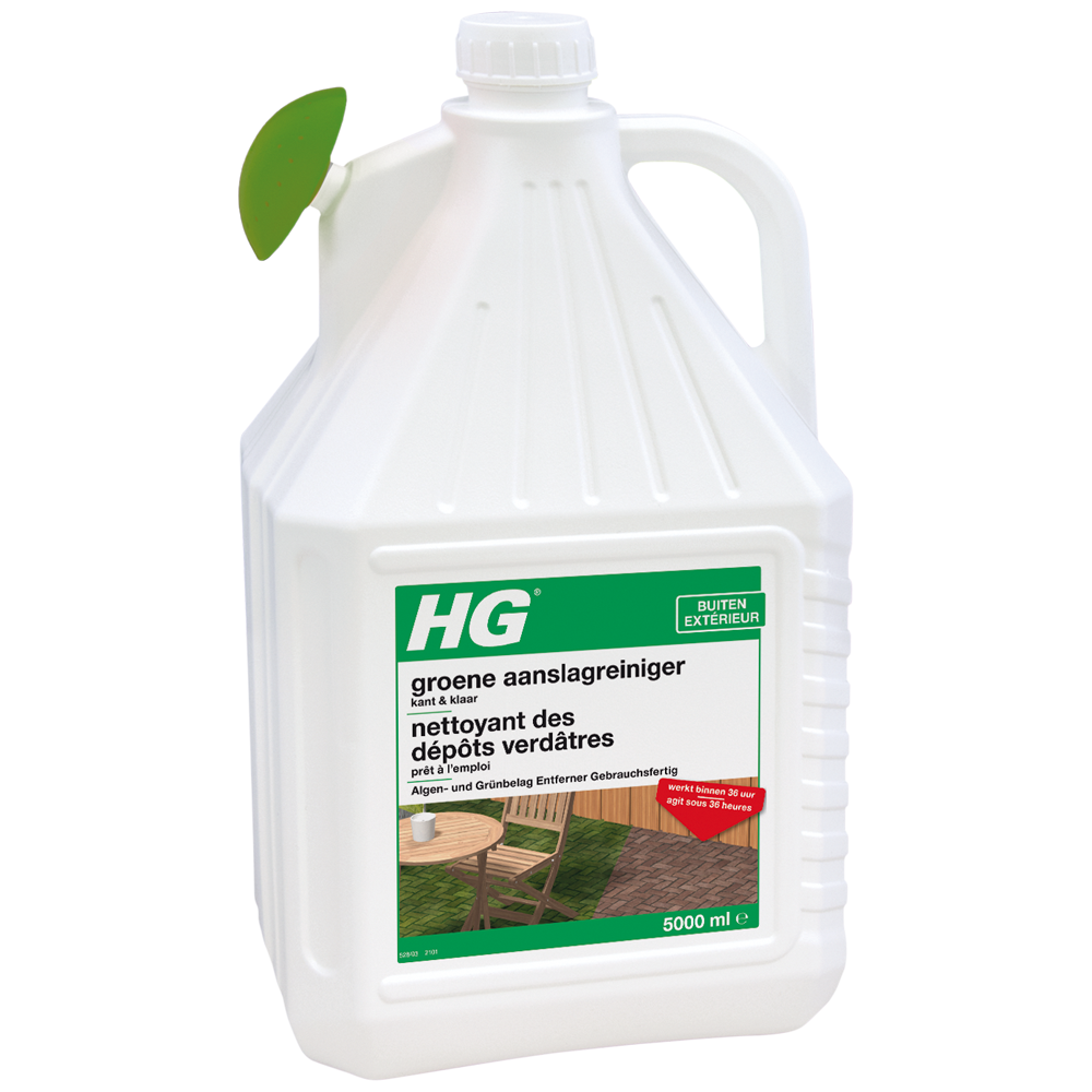 Nettoyant Dépôts Verdâtres Hg X 5l