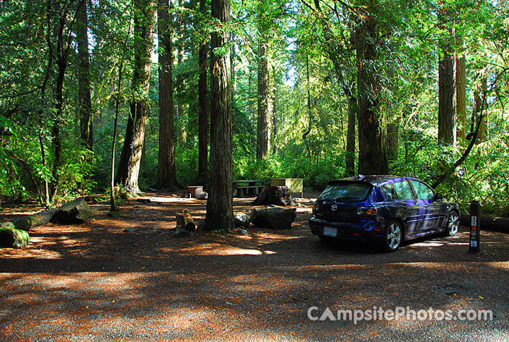 Jedediah Smith Redwoods State Park Campsite Photos And Availability Alerts