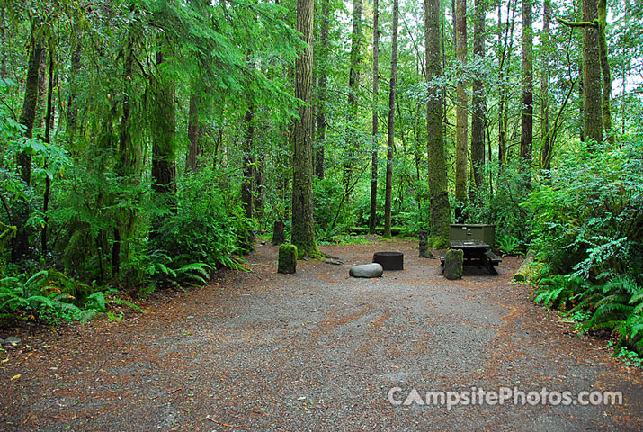 Jedediah Smith Redwoods State Park Camp Photos Availability Alerts