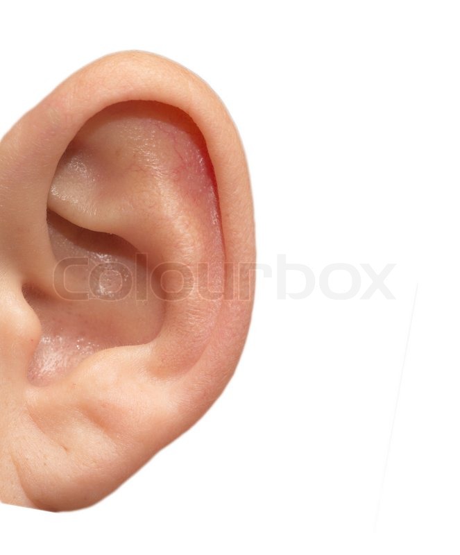 Human Ear On White Background Stock Image Colourbox