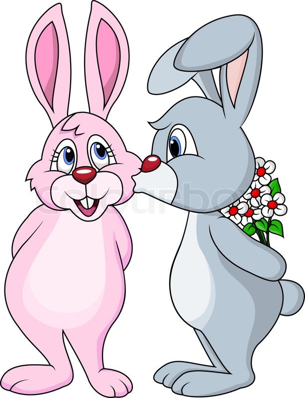 Vector Illustration Of Rabbit Couple Stock Vector Colourbox