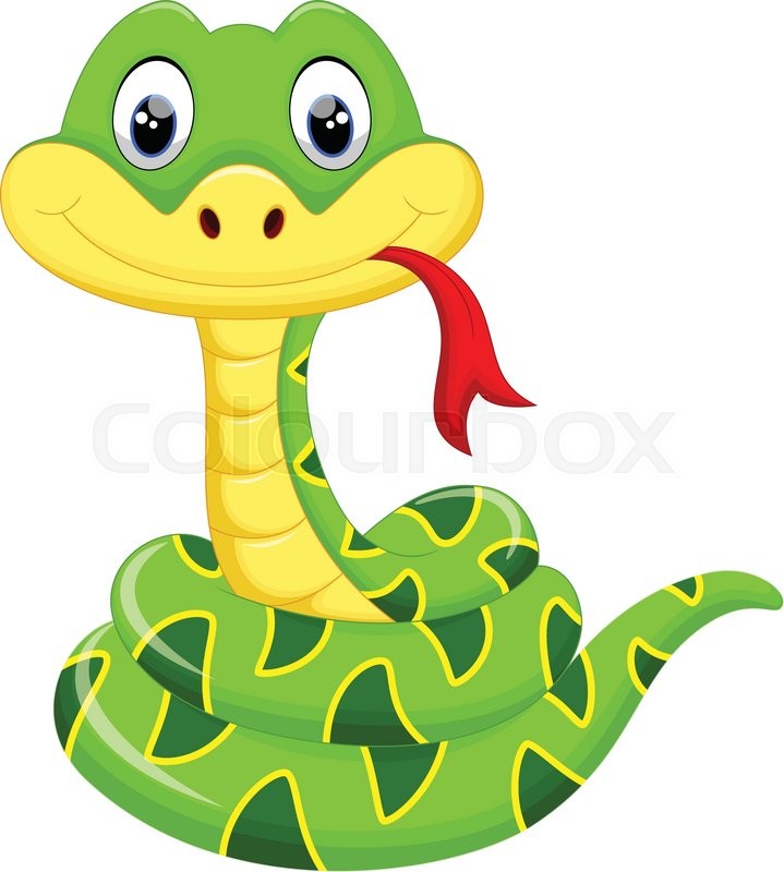 Vector Illustration Of Cute Snake Stock Vector Colourbox