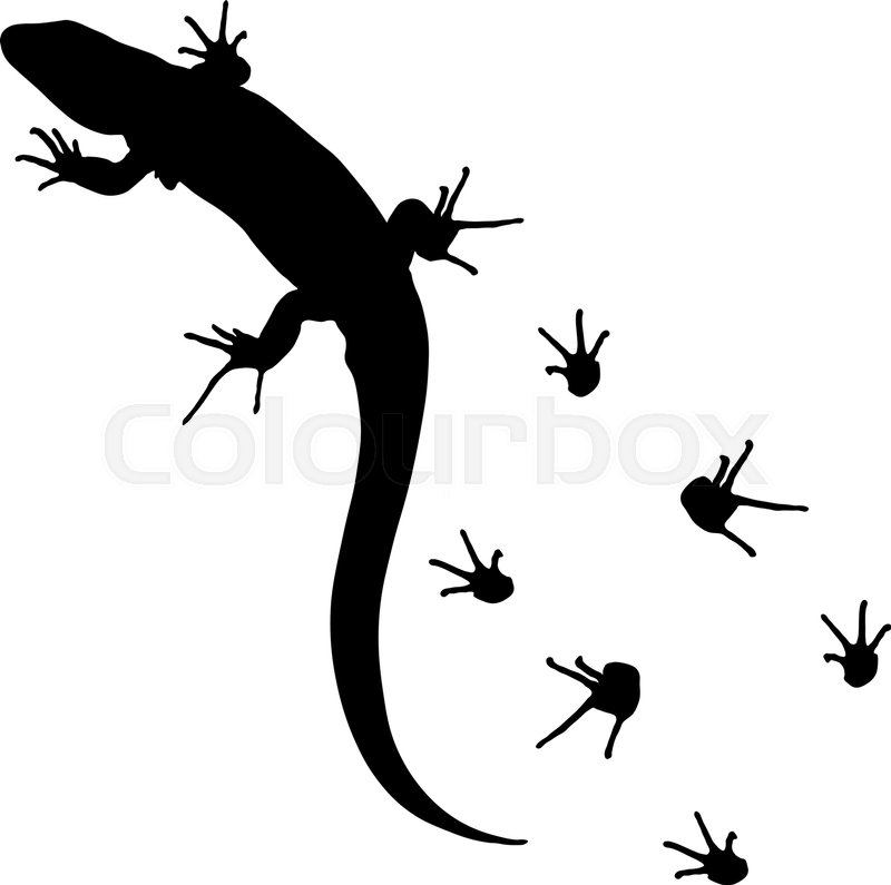 Lizard And Footprints Silhouette Stock Vector Colourbox