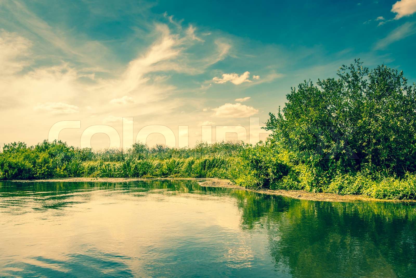 Vand Med Spejlbillede Af Naturen Vandløb Med Flot Natur Flot Natur