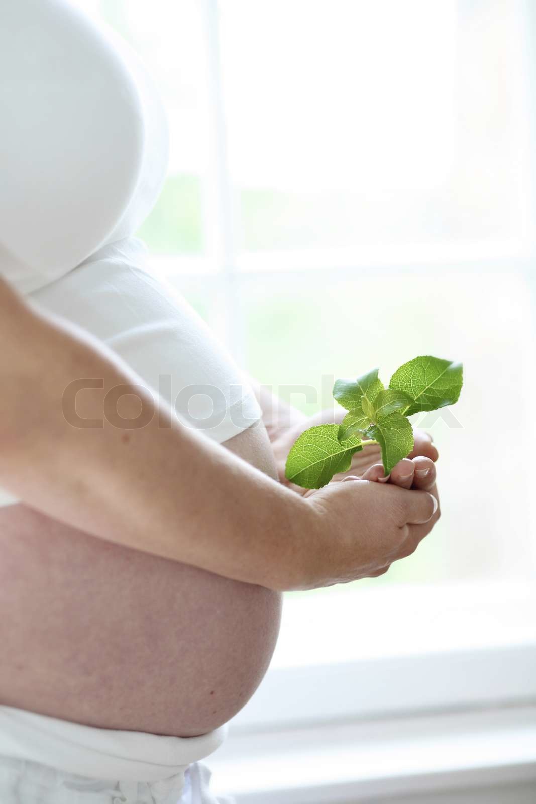 Pregnant Belly Stock Image Colourbox