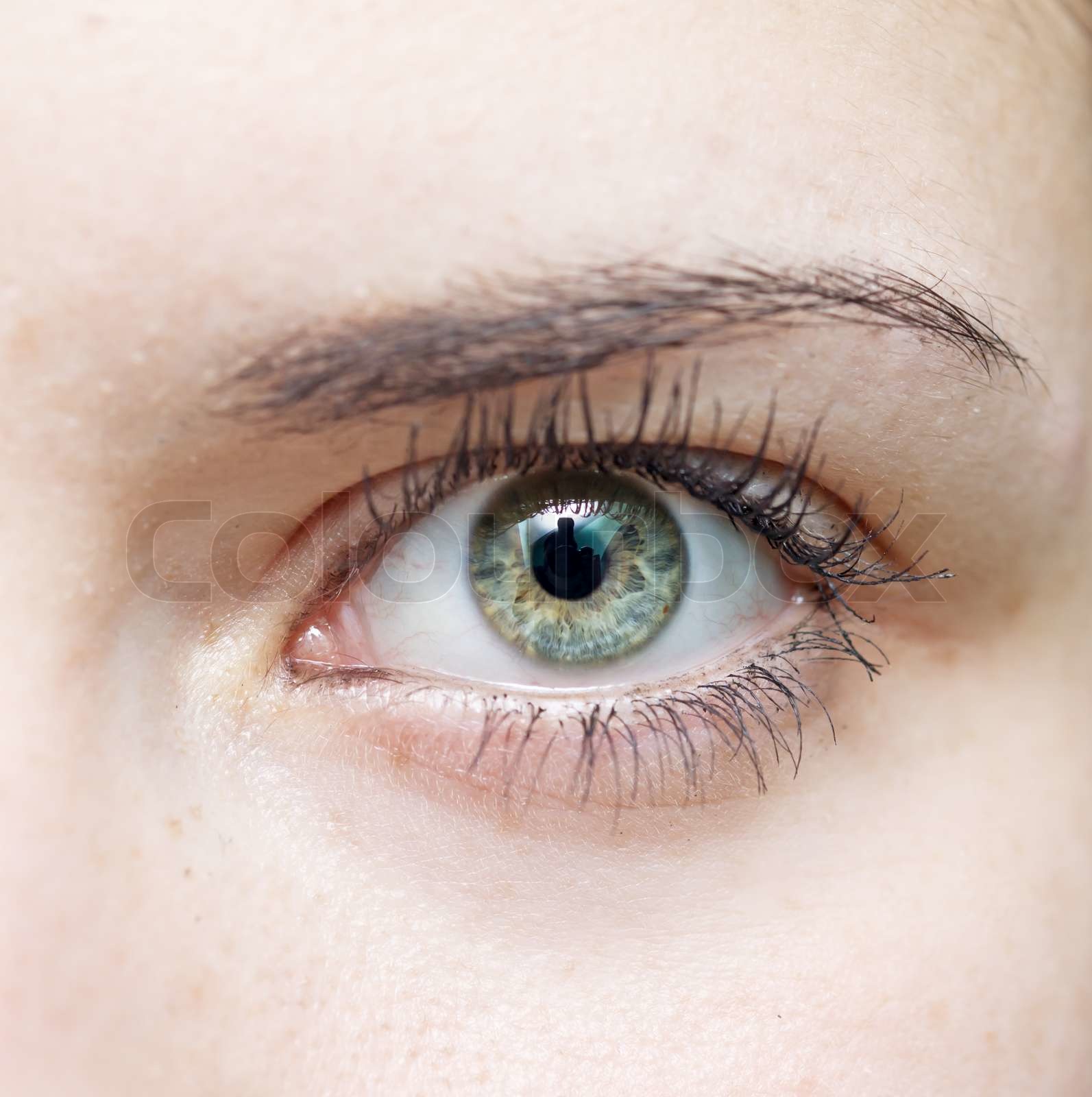 Woman Eye Stock Image Colourbox