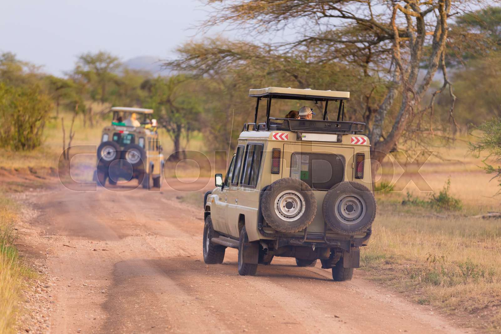 Jeeps On African Wildlife Safari Stock Image Colourbox