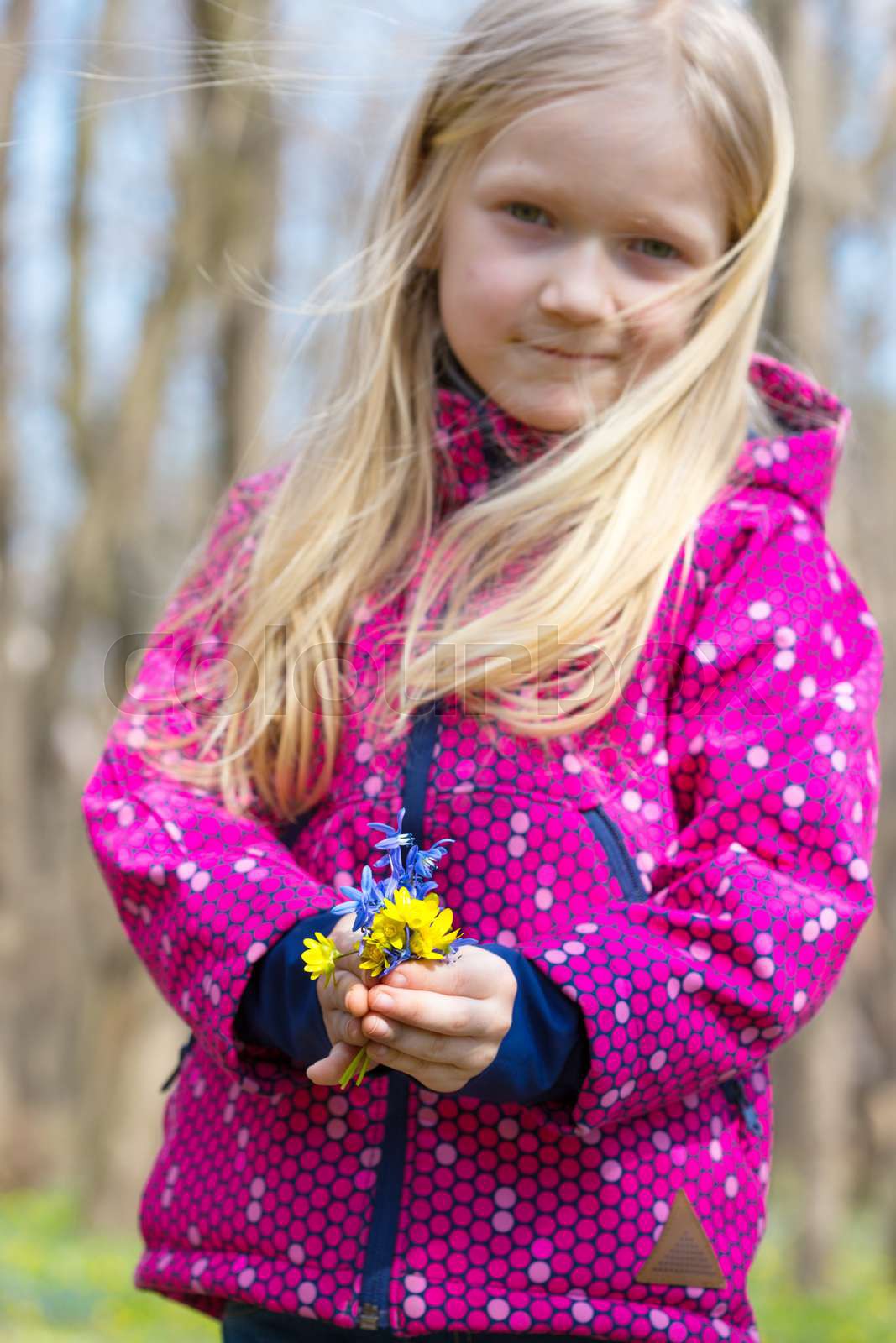 Norwegian Girl Stock Image Colourbox