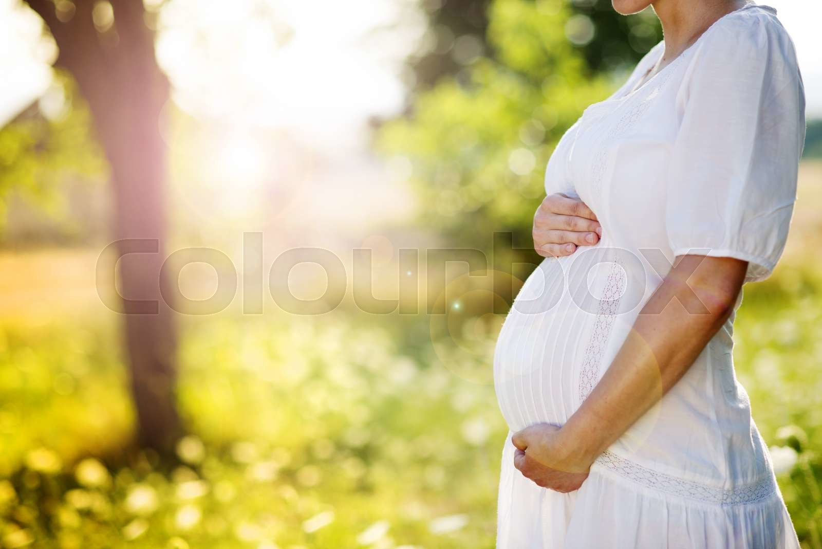 Pregnant Belly Stock Image Colourbox