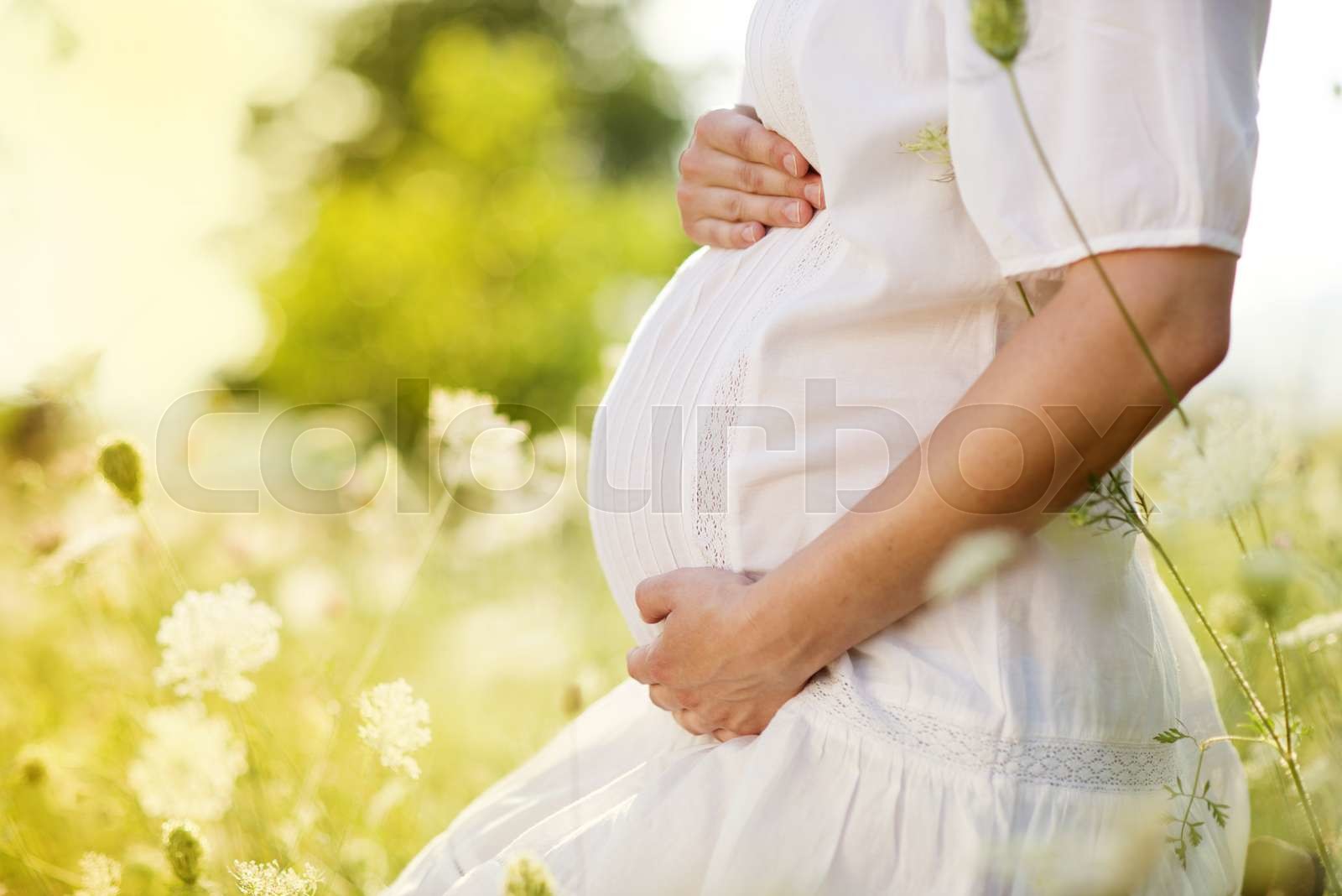 Pregnant Belly Stock Image Colourbox