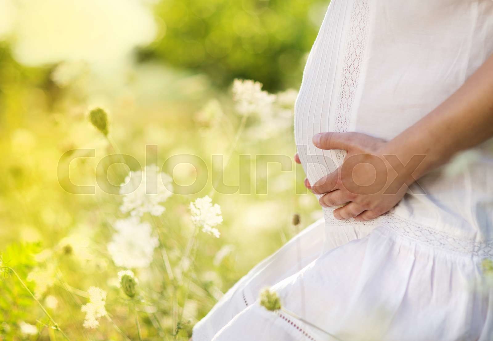 Pregnant Belly Stock Image Colourbox