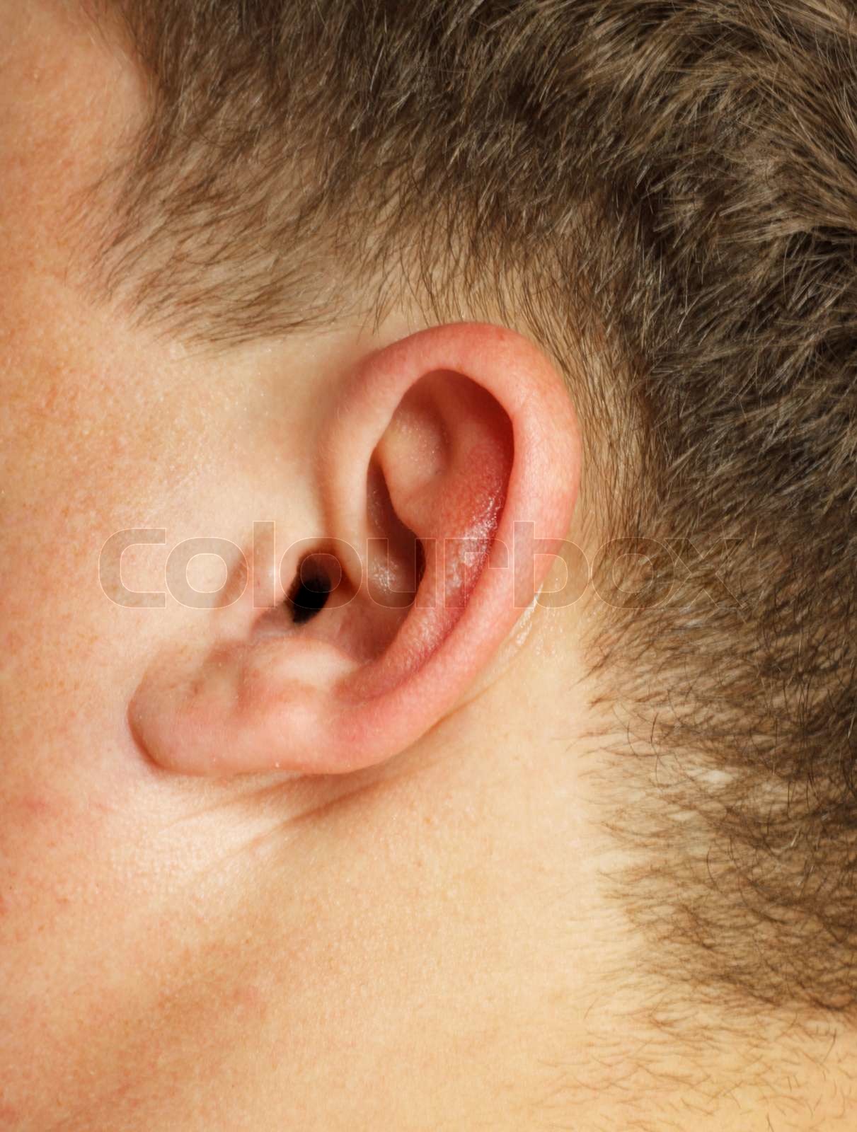 Closeup Of A Human Ear Stock Image Colourbox