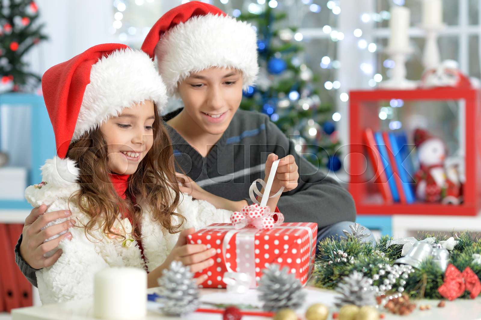 Brother And Sister Celebrating Christmas Stock Image Colourbox