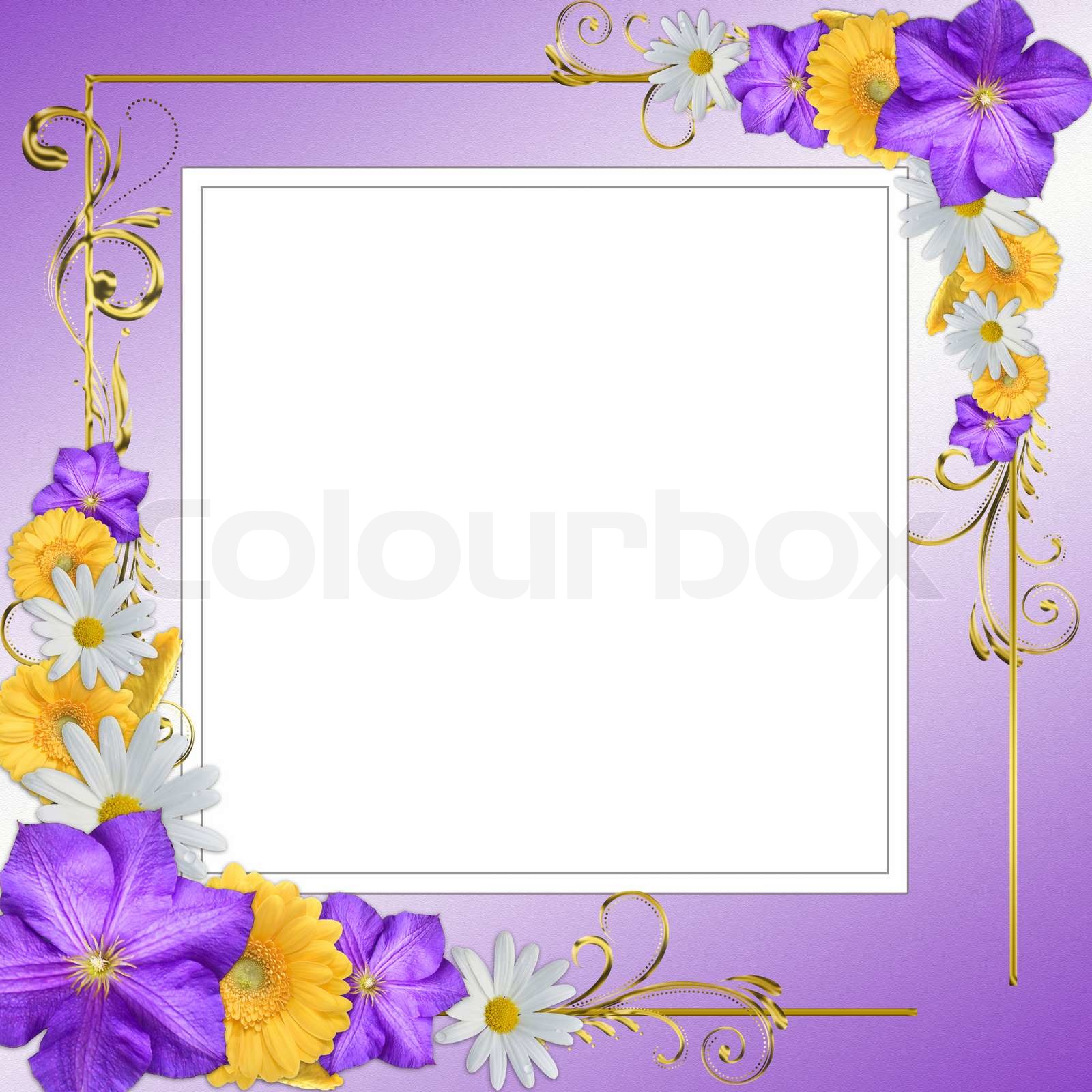 Dekorative Blomster Ramme Stock Foto Colourbox