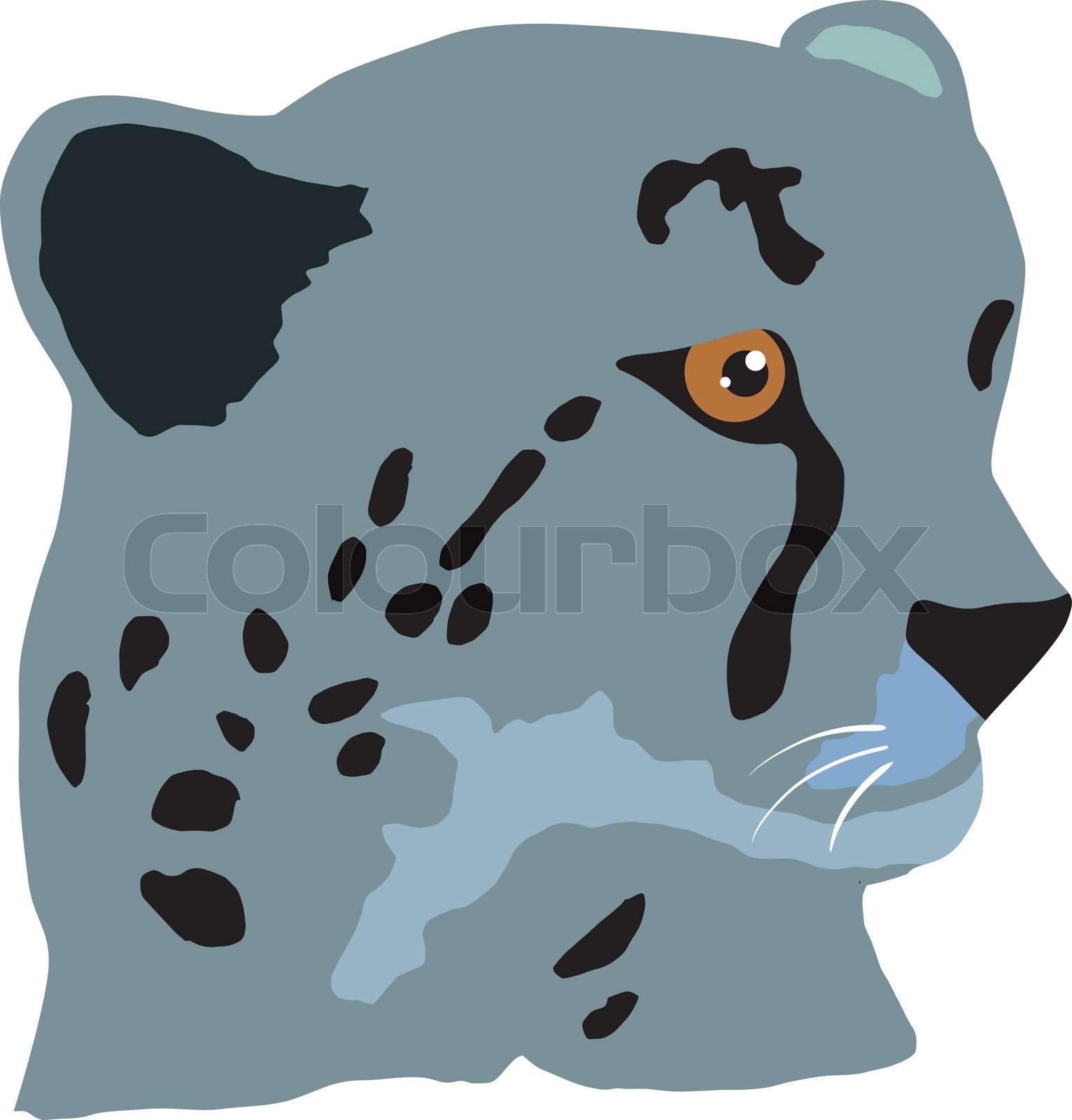 Cheetah Stock Vector Colourbox