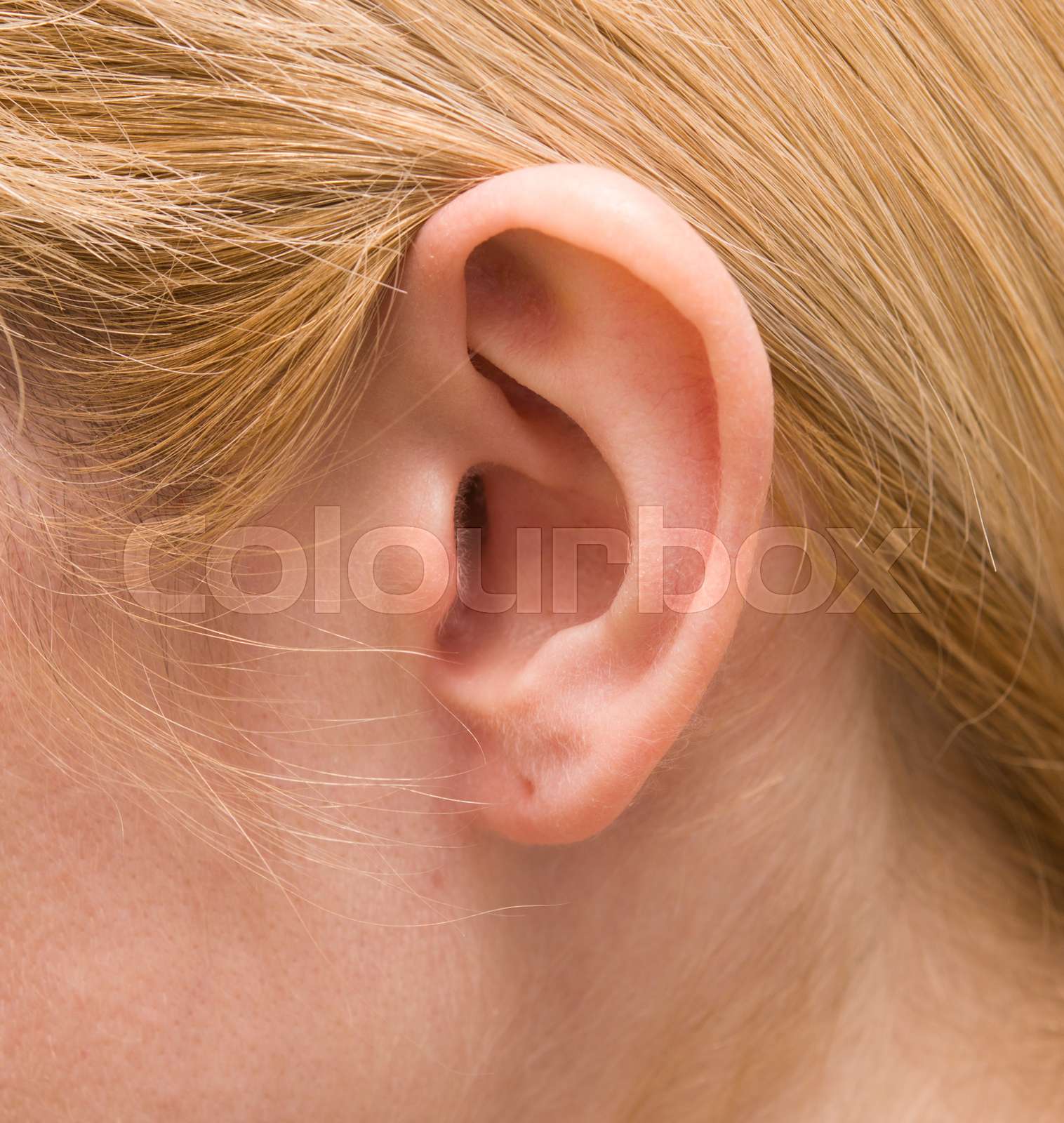 Female Ear Stock Image Colourbox