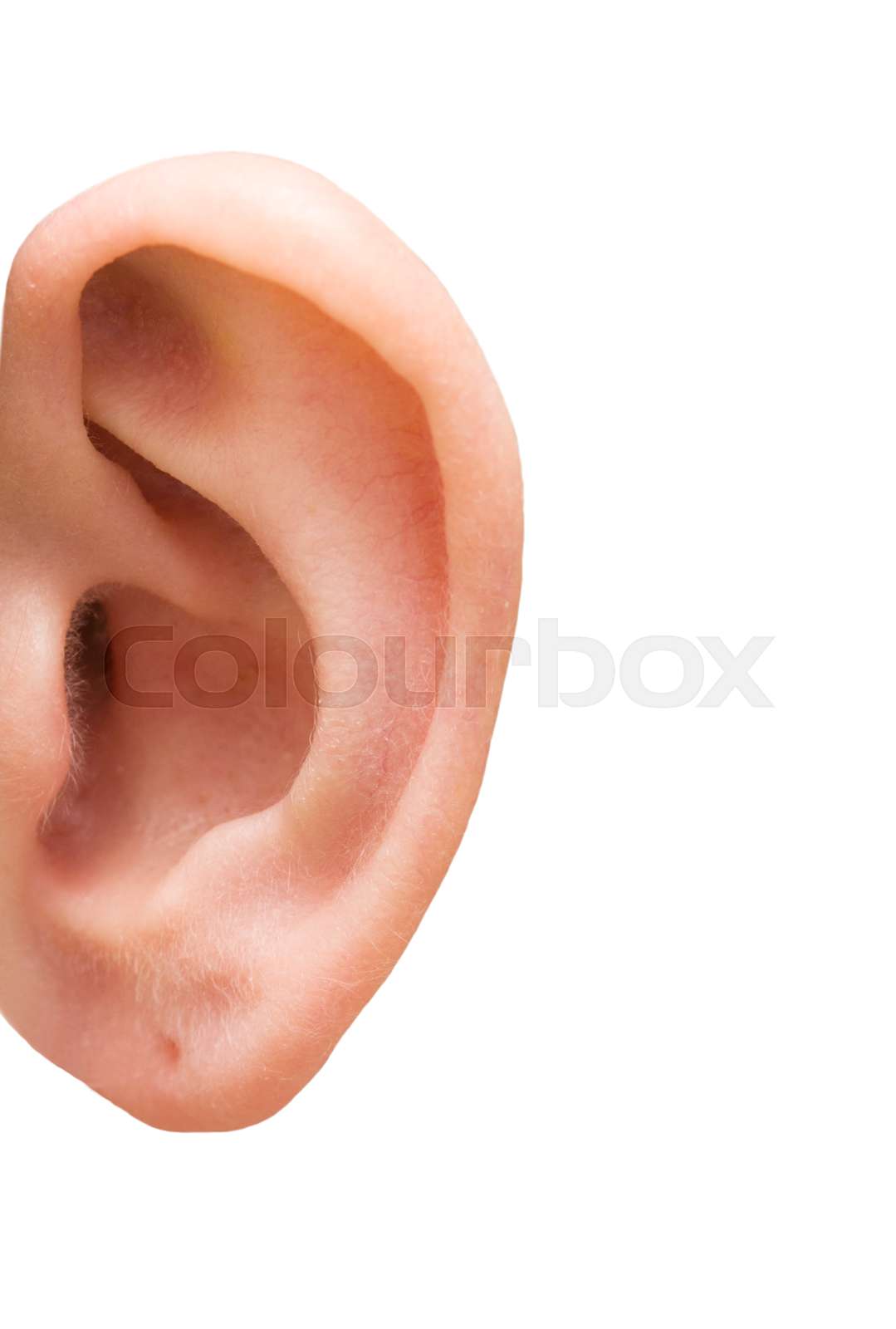 Female Ear Stock Image Colourbox