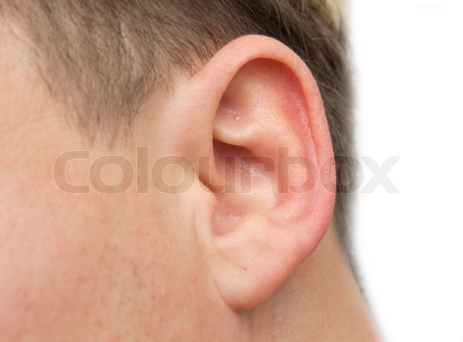 Closeup Of A Human Ear Stock Image Colourbox