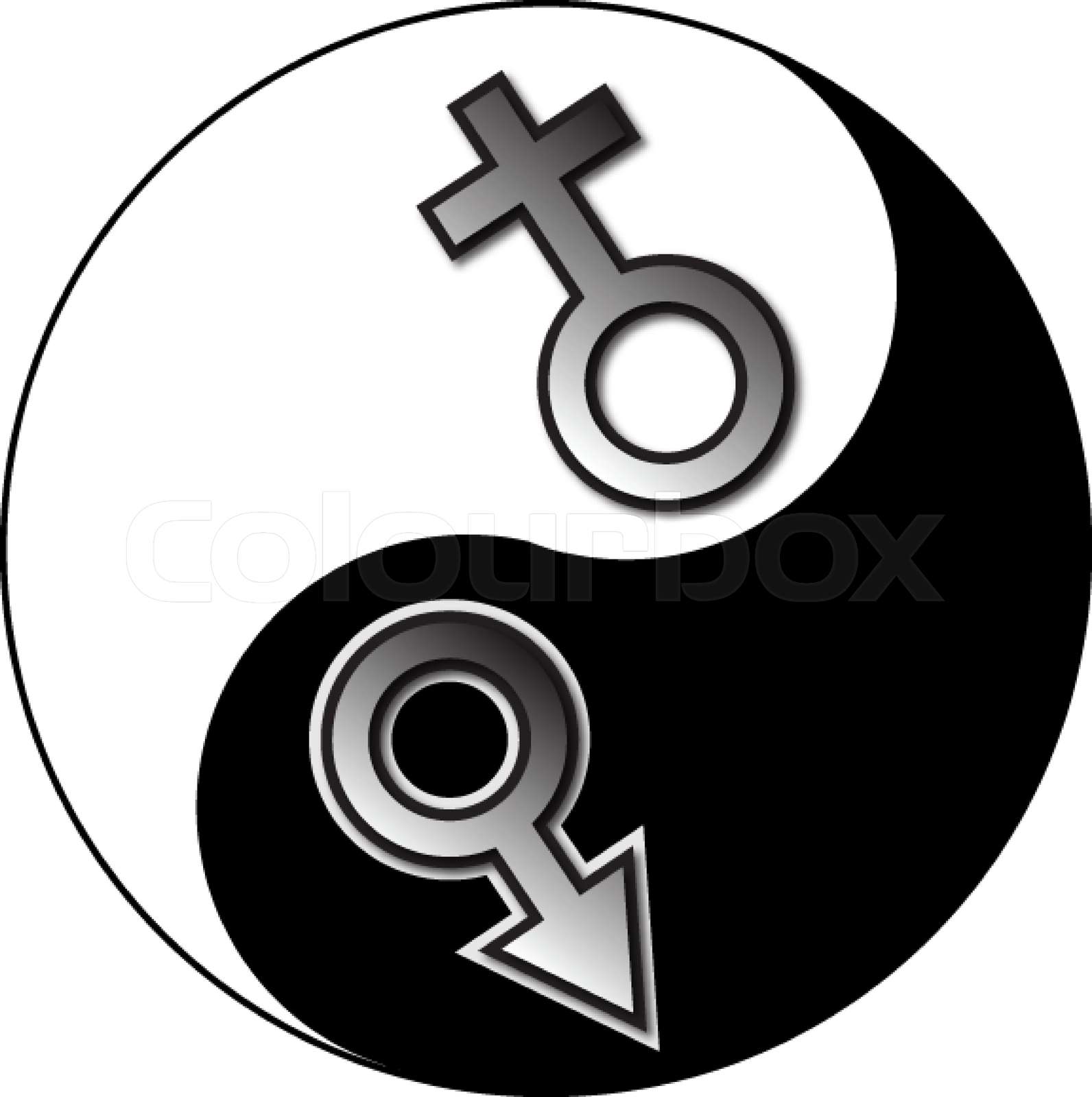 Yin Yang Male Female Symbol Stock Vector Colourbox