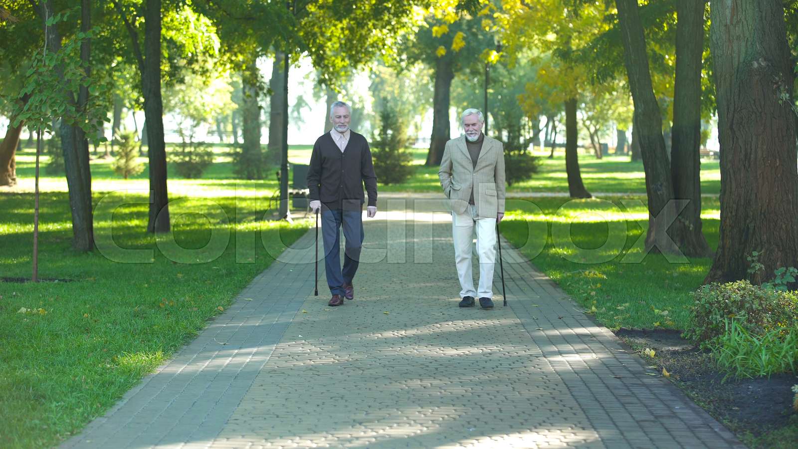 Two Senior Men With Walking Sticks Strolling Along Park Resting
