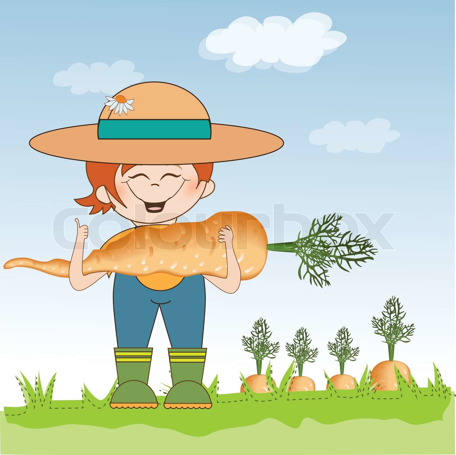 Gardener To Harvest Carrots Stock Vector Colourbox