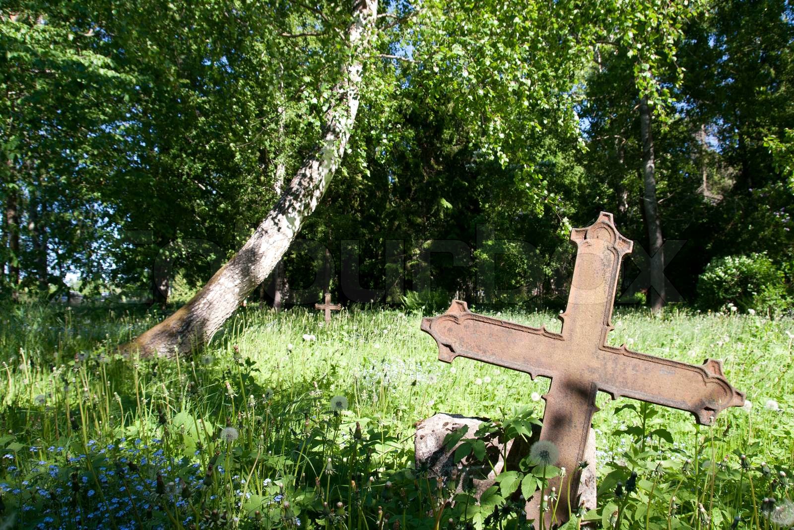 Abandoned Cemetery Stock Image Colourbox