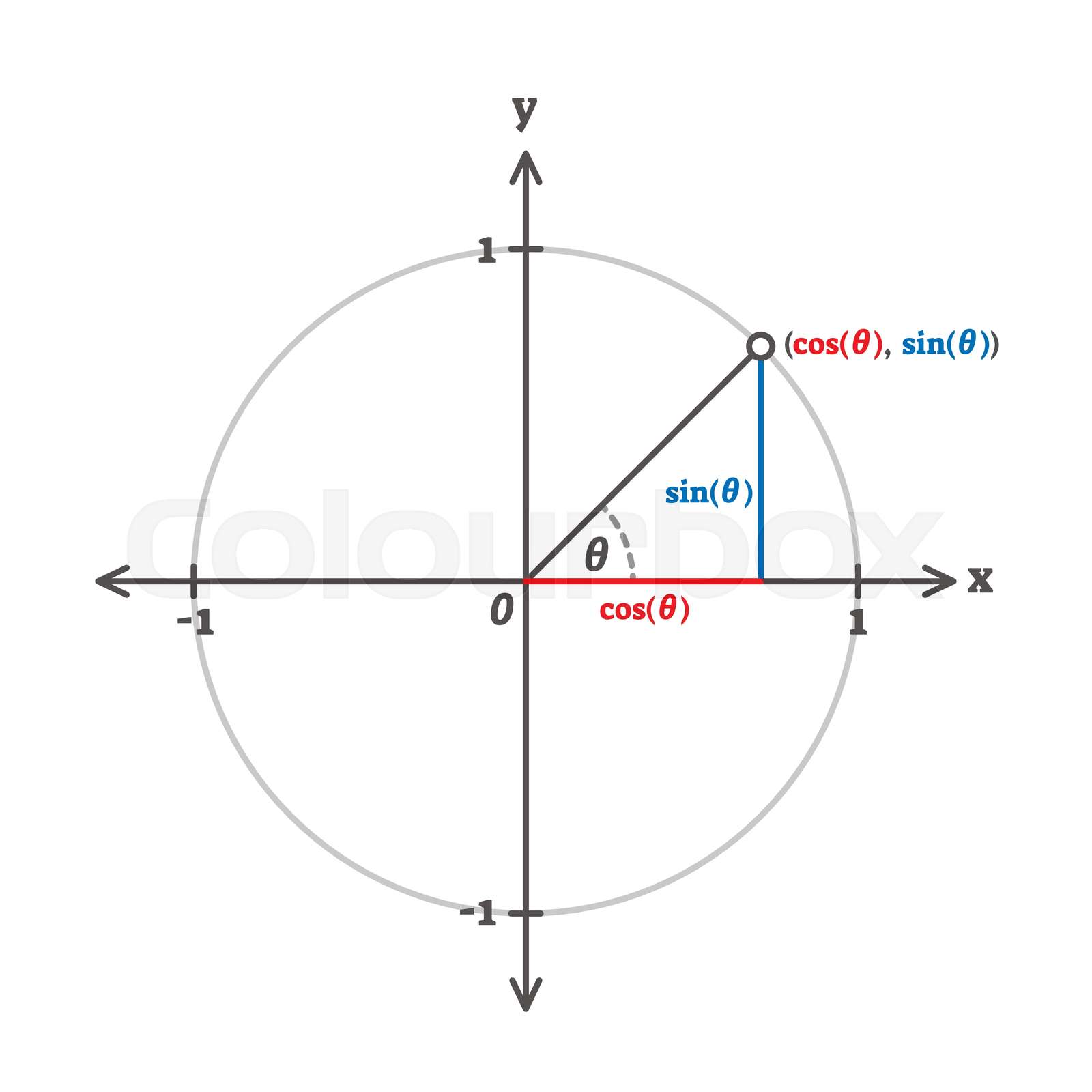 Trigonometry Cosinus Sinus And Tangents Example Diagram Stock Vector