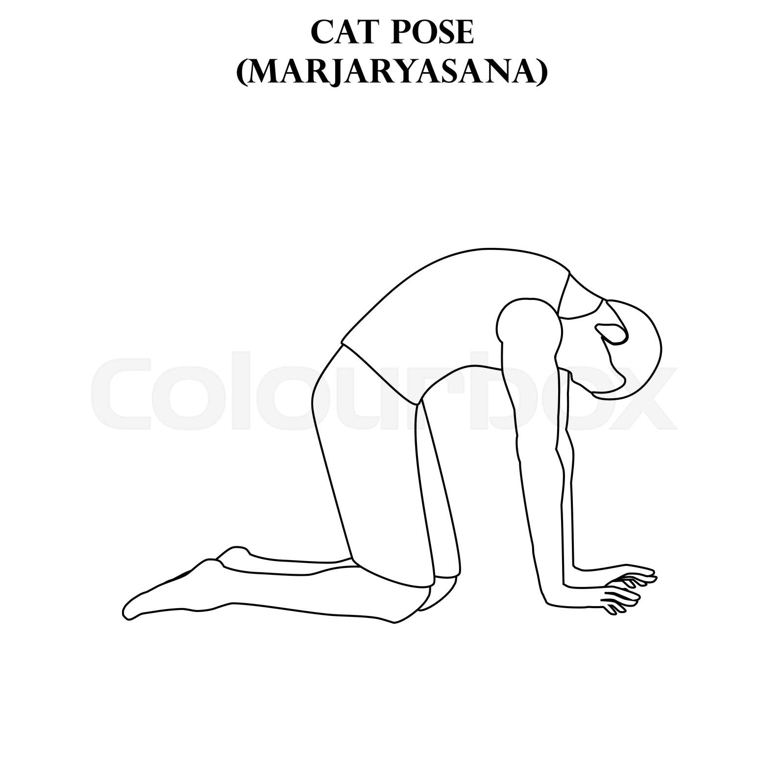 Benefits Of Marjaryasanabitilasana Reasons Why You Should 51 Off