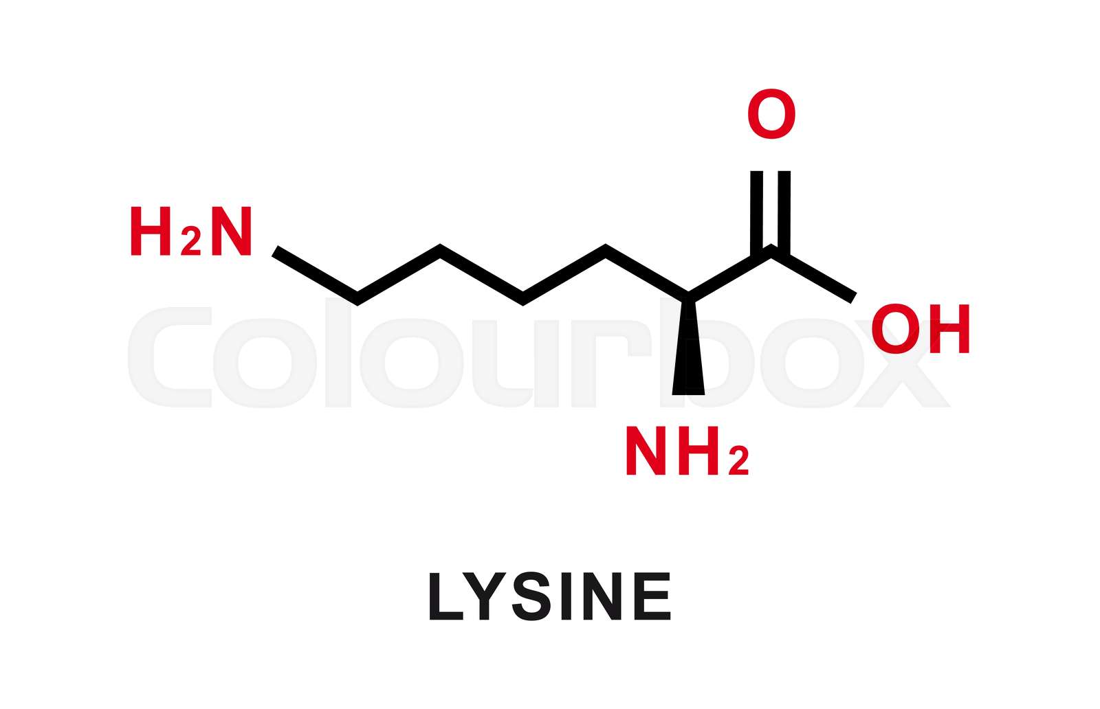 Lysine Chemical Formula Lysine Chemical Molecular Structure Vector