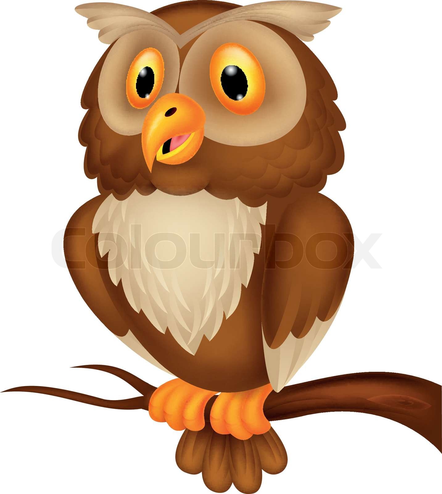 Cute Owl Cartoon Stock Vector Colourbox