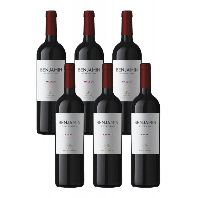 Caja X6 Vino Benjamin Malbec Nieto Senetiner 750ml Icbc Mall