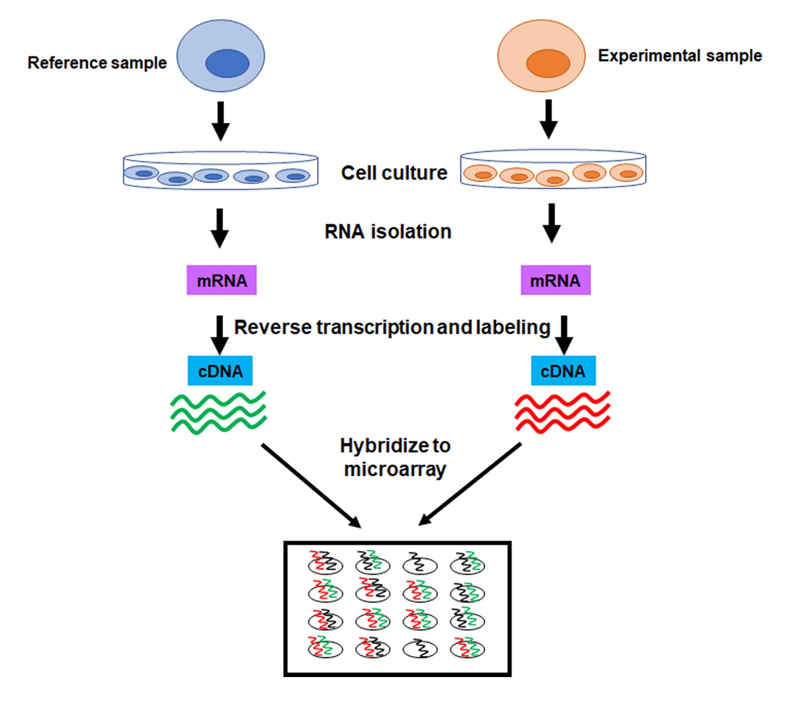 Cytosmart Gene Expression And Cell Culture Parameters