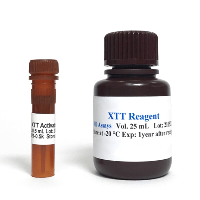 Xtt Cell Viability Assay