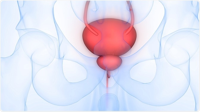 Endoscopic Imaging For Bladder Cancer