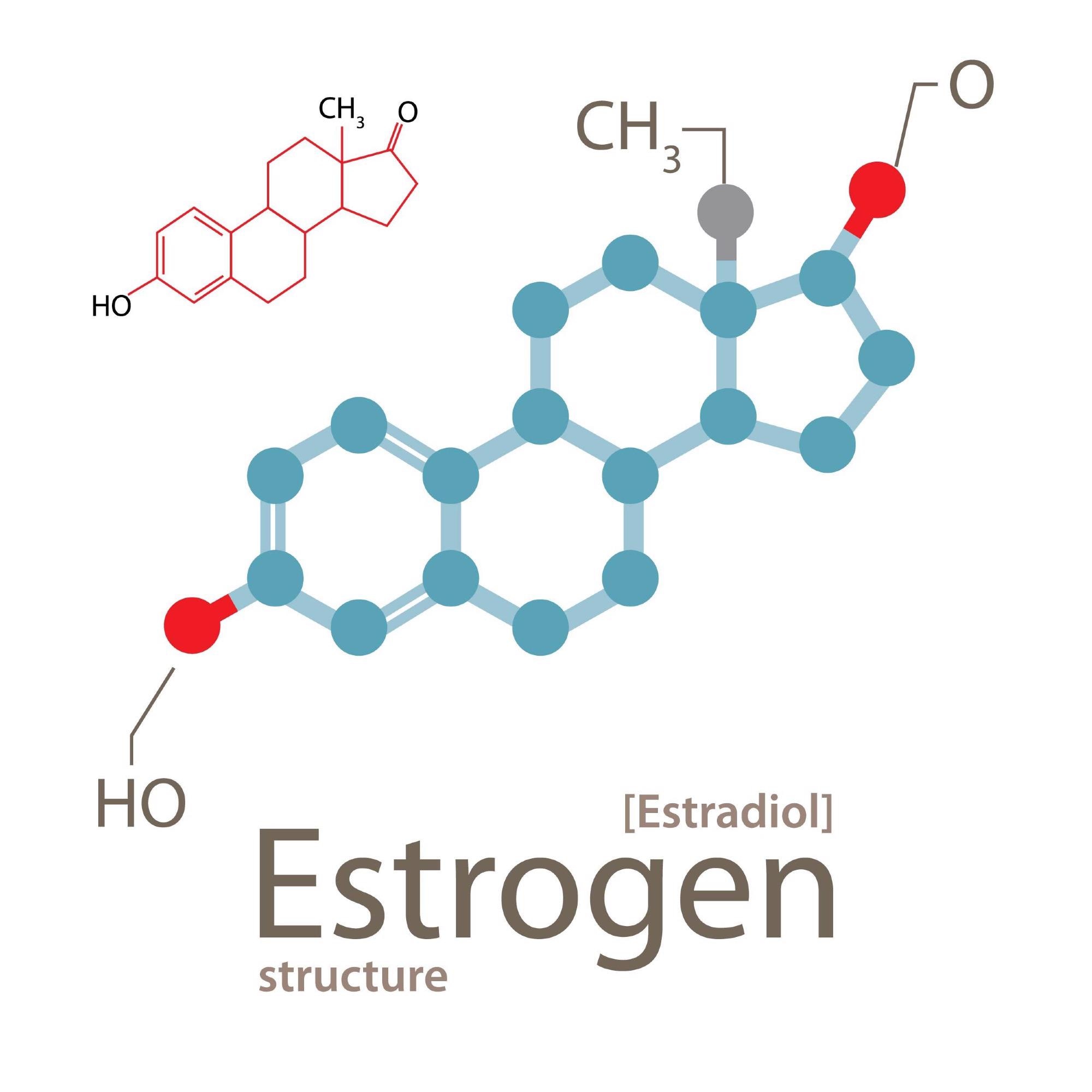 The Role Of Estrogen In Mens Health Bioidentical News