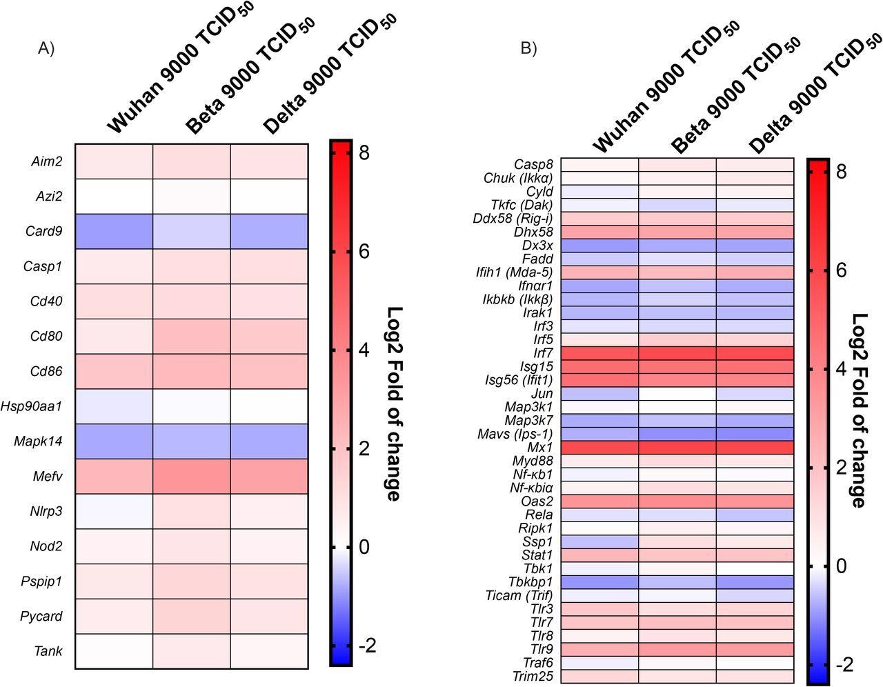 Scientists Characterize Type I Ifn Response During Sars Cov 2 Infection