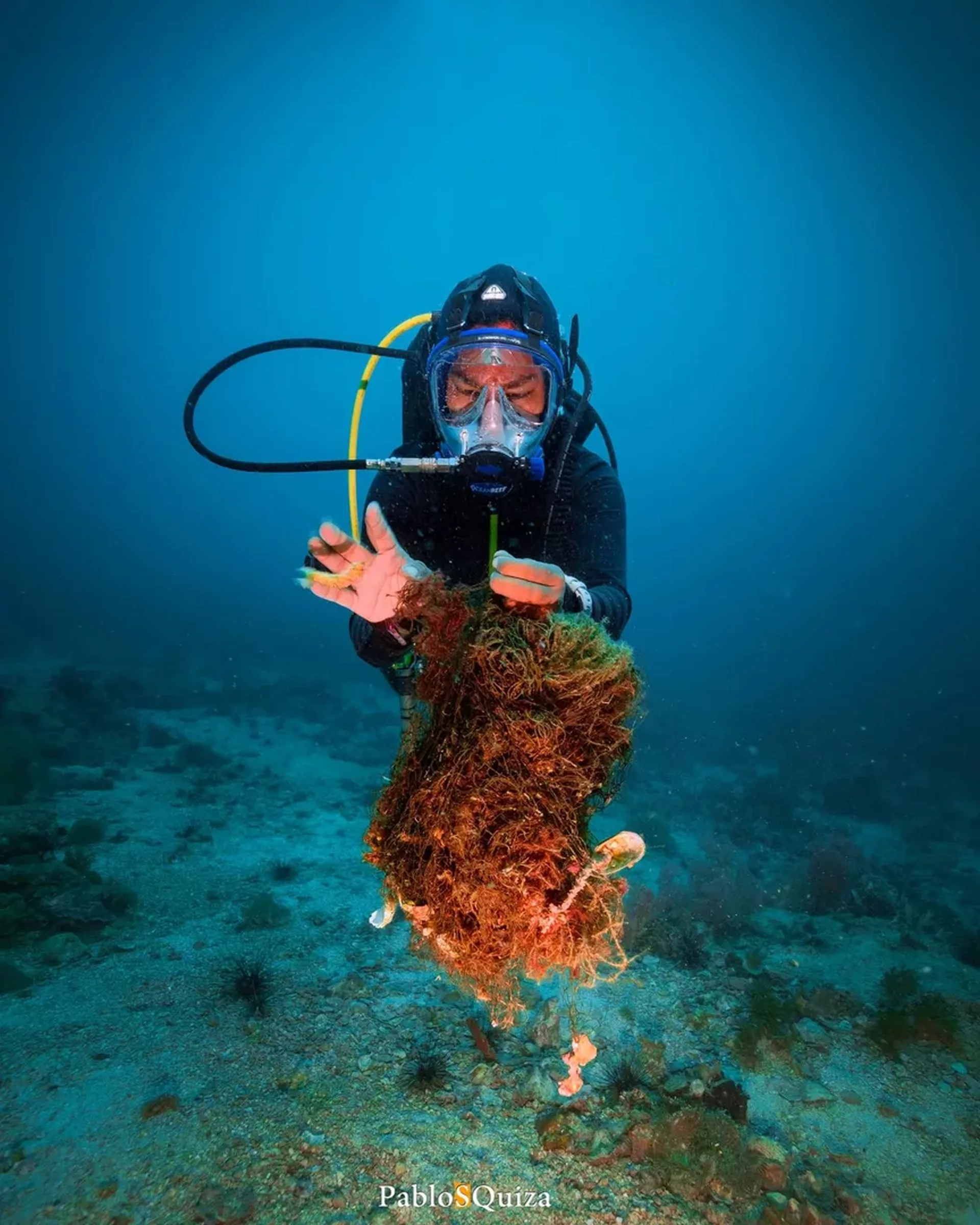 Womens Dive Day Underwater Clean Up Book Online Padi Adventures