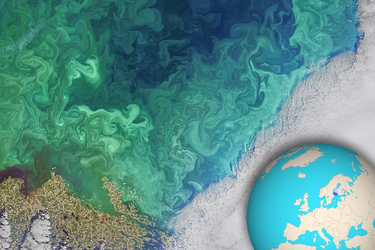 Phytoplankton Bloom In The South Of Bothnia Nasa Jet Propulsion