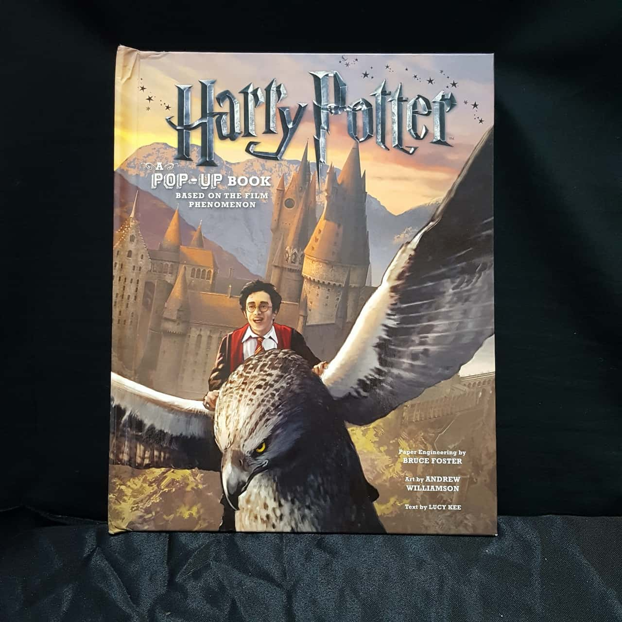 Harry Potter A Pop Up Book Based Of The Film Phenomenons