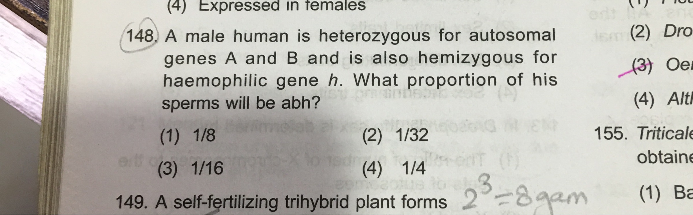 A Male Human Is Heterozygous For Autosomal Genes A And B And Is Also