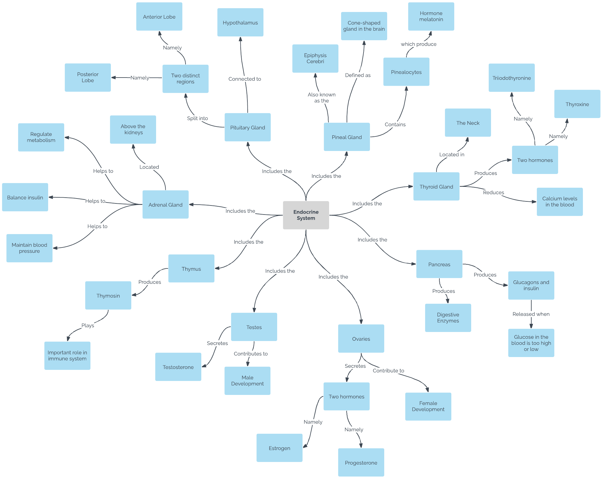 How To Make A Concept Map Lucidchart