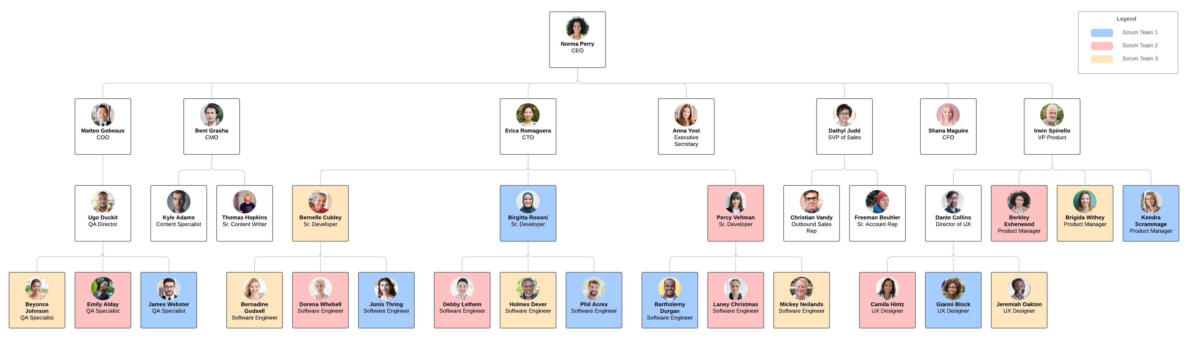 Organizational Chart Templates Lucidchart