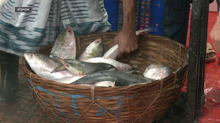 22 Day Ban On Hilsa Fishing