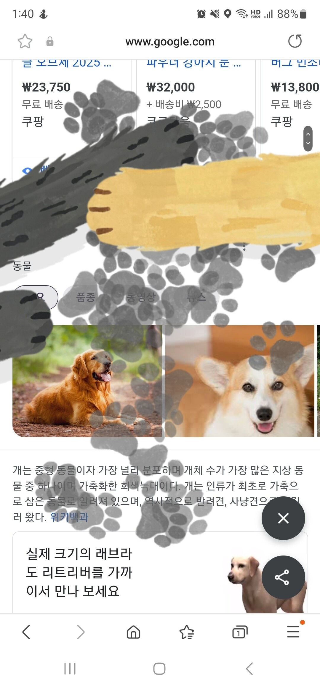 블라인드 블라블라 강아지 Vs 고양이