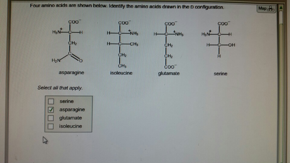 Solved Four Amino Acids Are Shown Below Identity The Ami