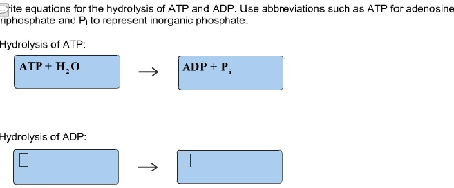 Solved Write Equations Tor The Hydrolysis Of Atp And Adp