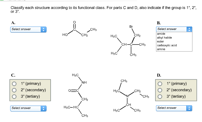 Solved Classify Each Structure According To Its Functional