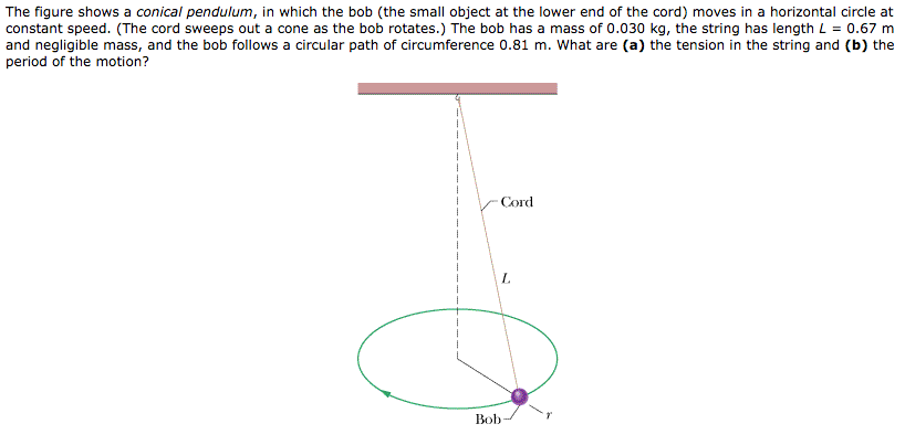 Solved The Figure Shows A Conical Pendulum In Which The Bob