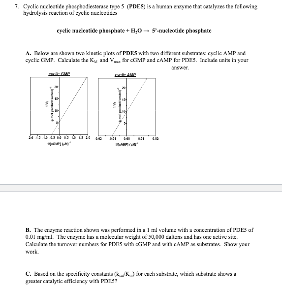 Solved 7 Cyclic Nucleotide Phosphodiesterase Type 5 Pde5