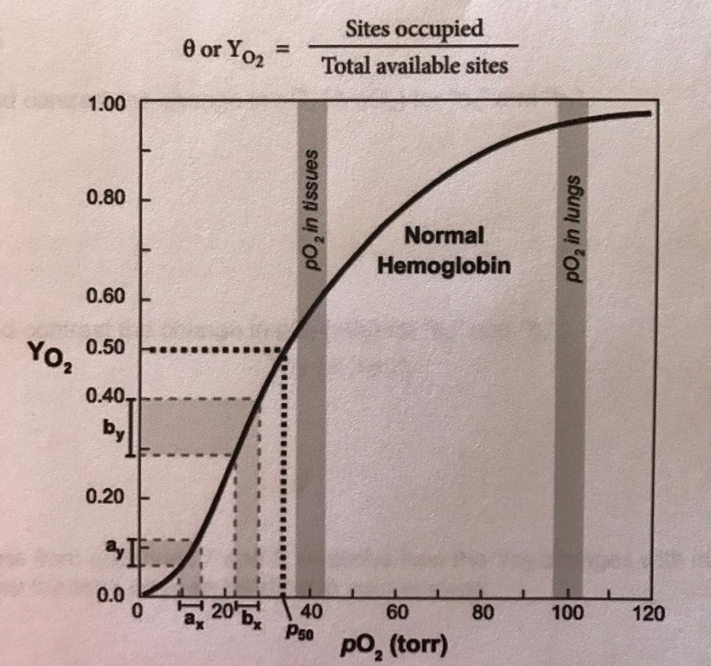 Solved Figure Depicts The Oxygen Binding Curve For